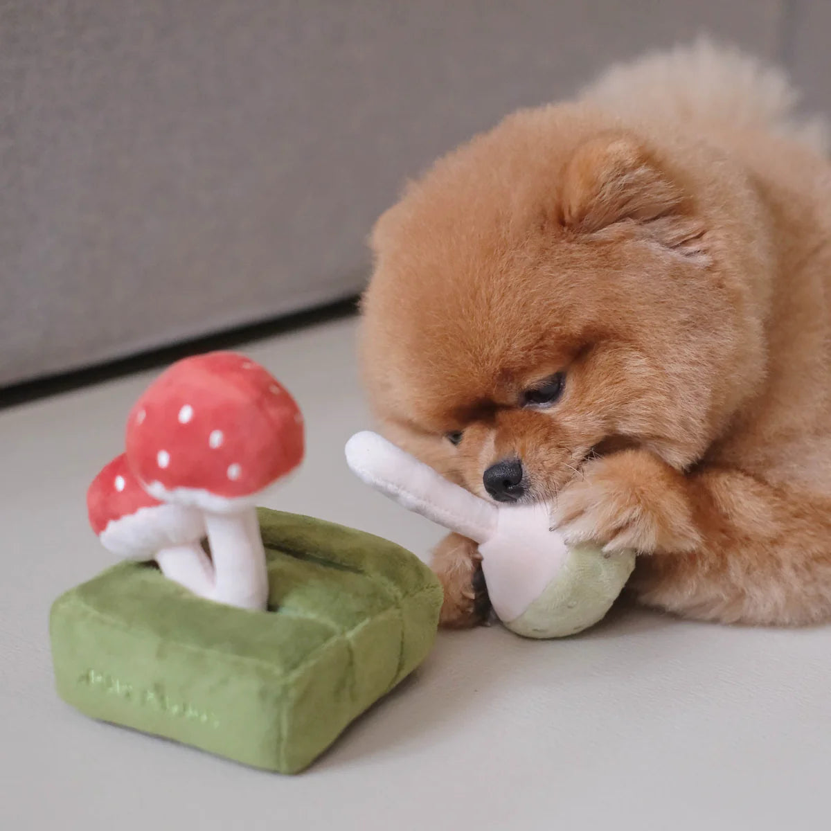PUPS & BUBS – PUPPERLICK
